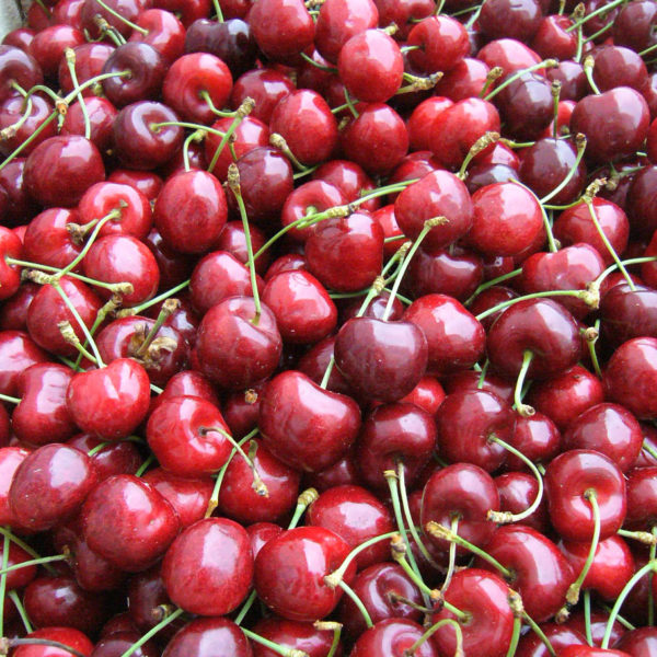 Fresh vegetables & fruits - Freshzone Kft.