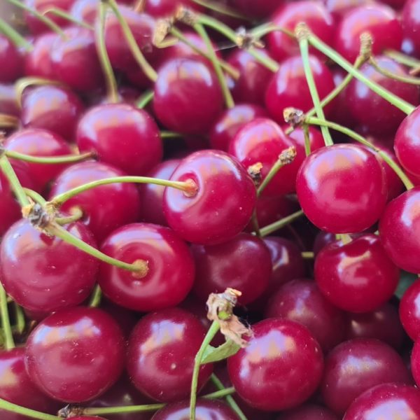 Fresh vegetables & fruits - Freshzone Kft.