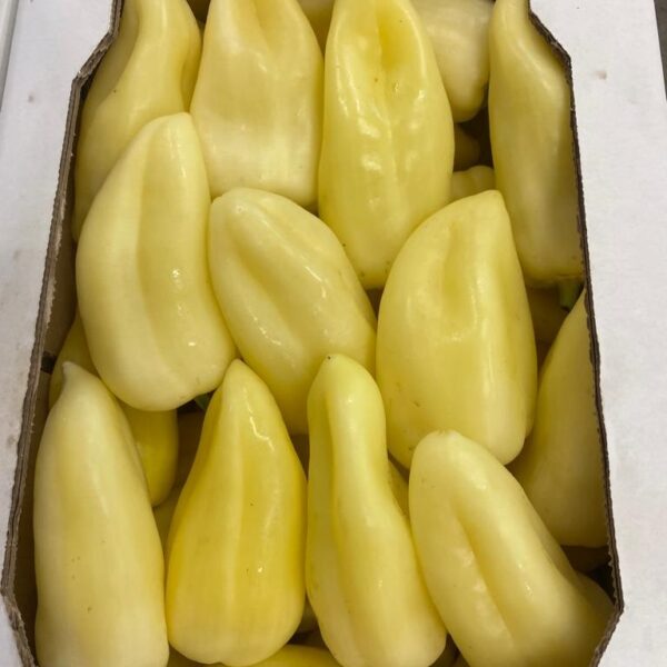 Fresh vegetables & fruits - Freshzone Kft.